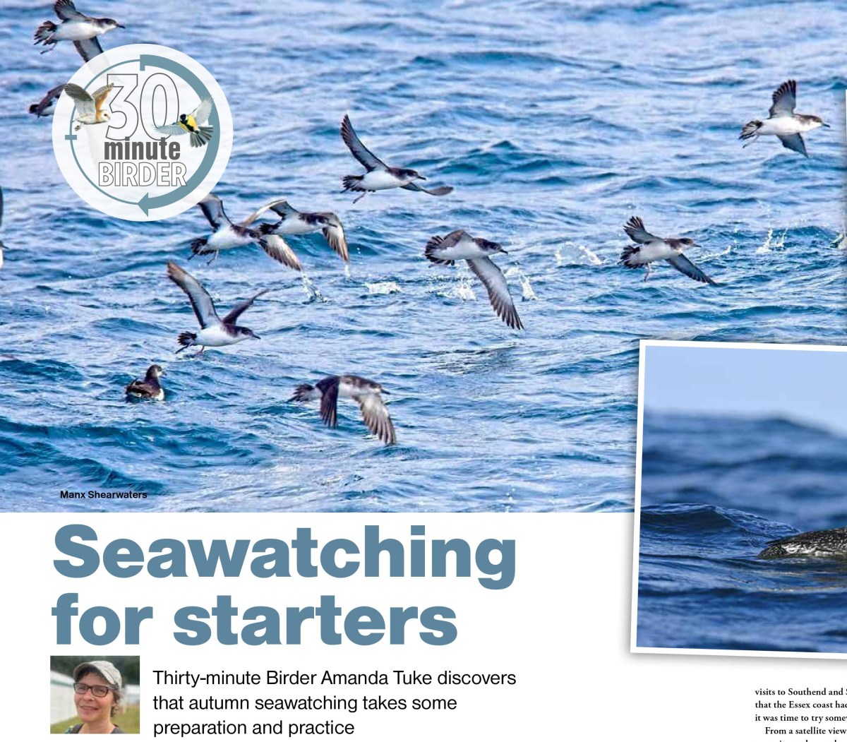 Thirty-minute birder column: Seawatching for starters | The Urban ...