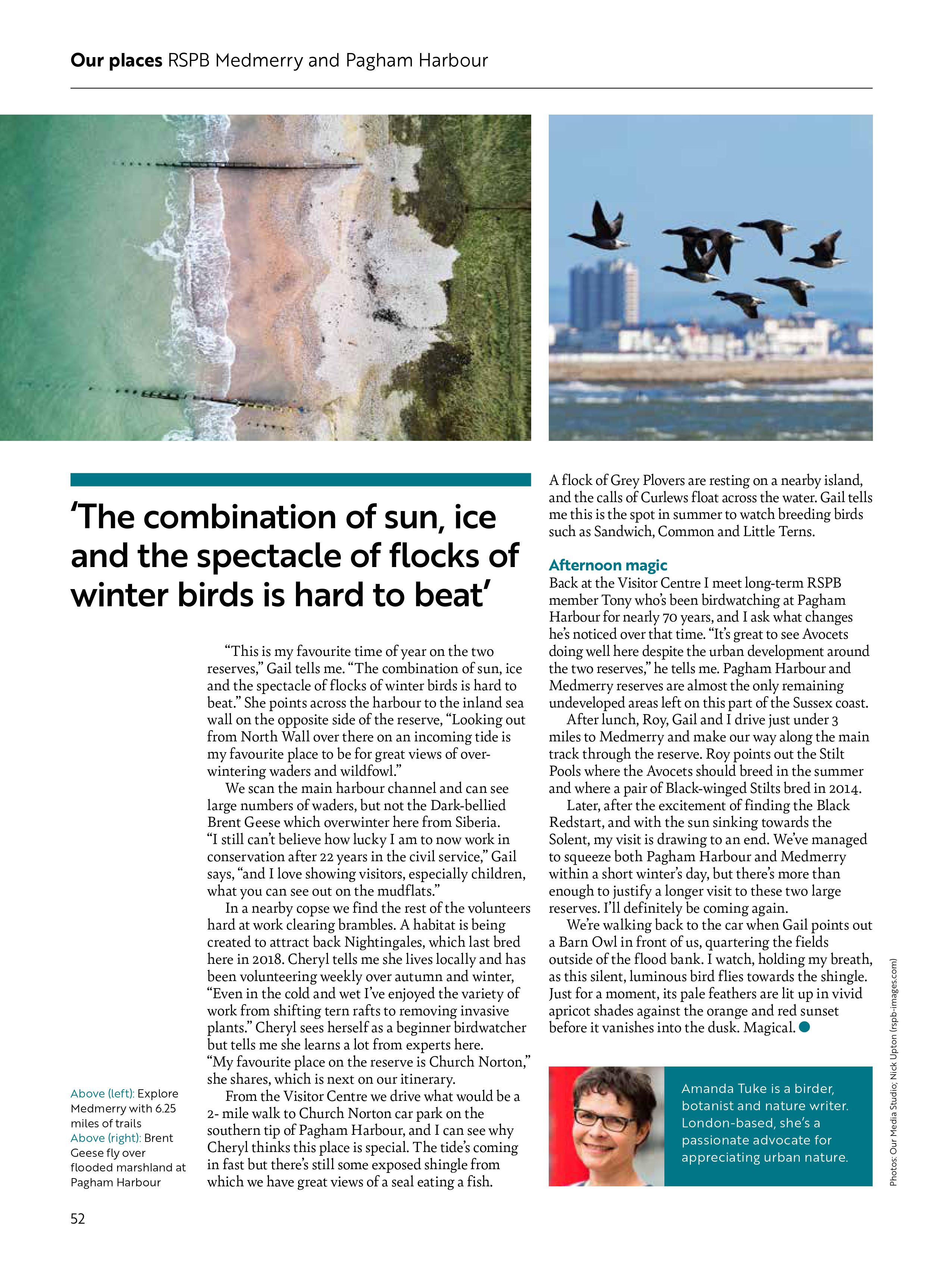 Feature for The RSPB Magazine | The Urban Naturalist