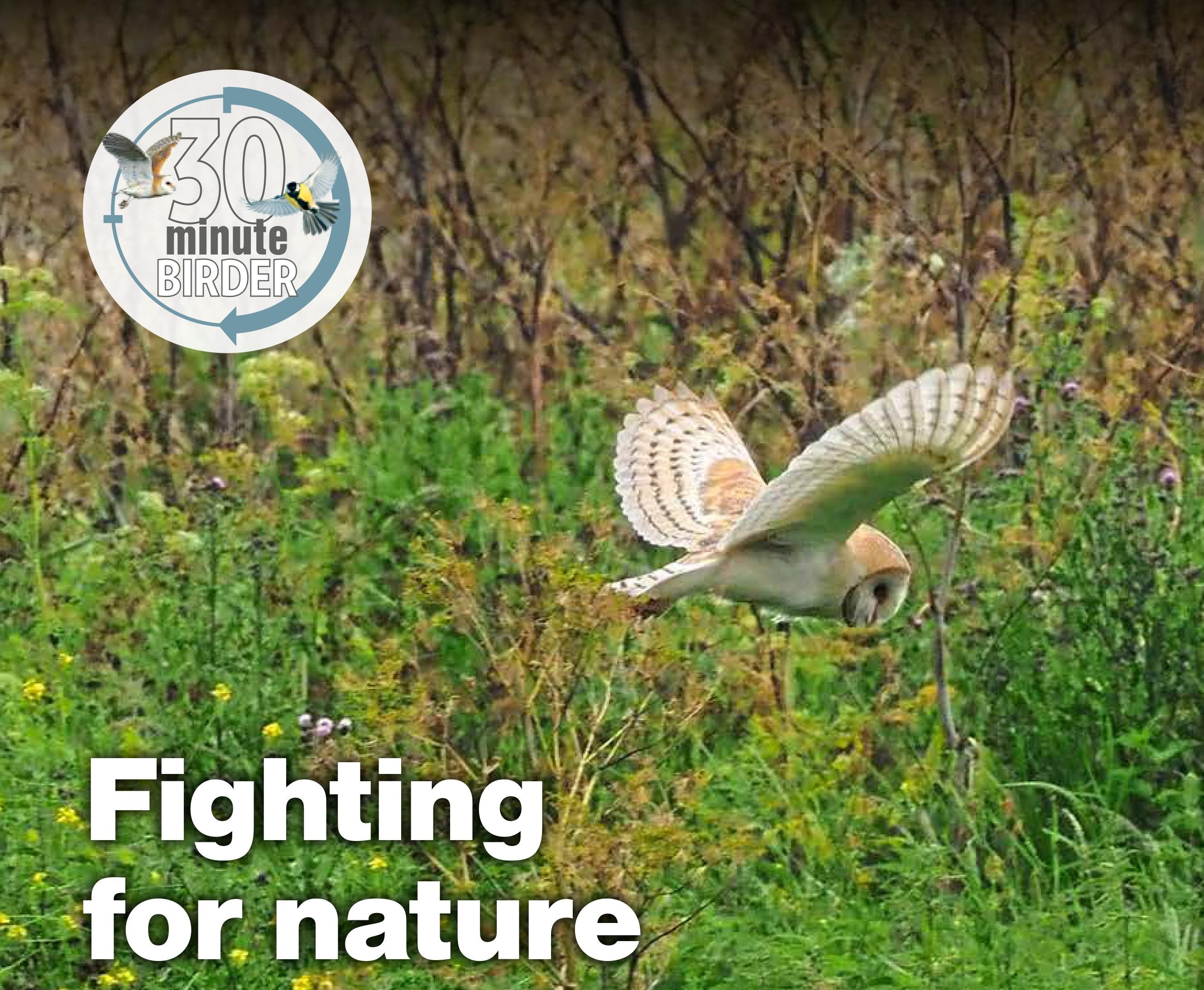 The Urban Naturalist | Amanda Tuke – nature writer and urban nature ...