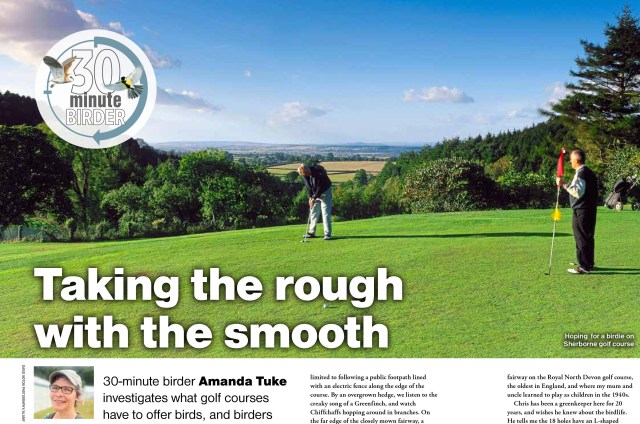 The Urban Naturalist | Amanda Tuke – nature writer and urban nature ...