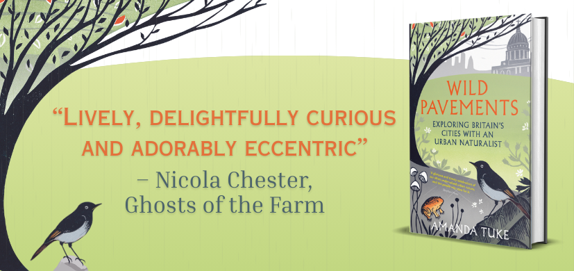 The ‘garden frequenters challenge part 1’ – calls of Robin, Wren ...